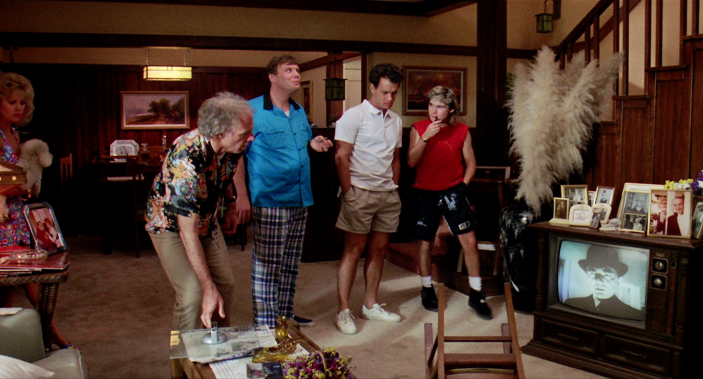 Picture of The Burbs