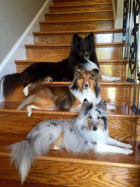 Listal - List the stuff you love! Movies, TV, music, games and books