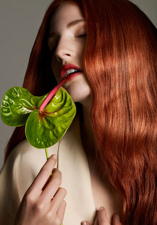 Picture of Alison Hamilton