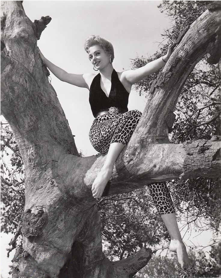 Martha Hyer image