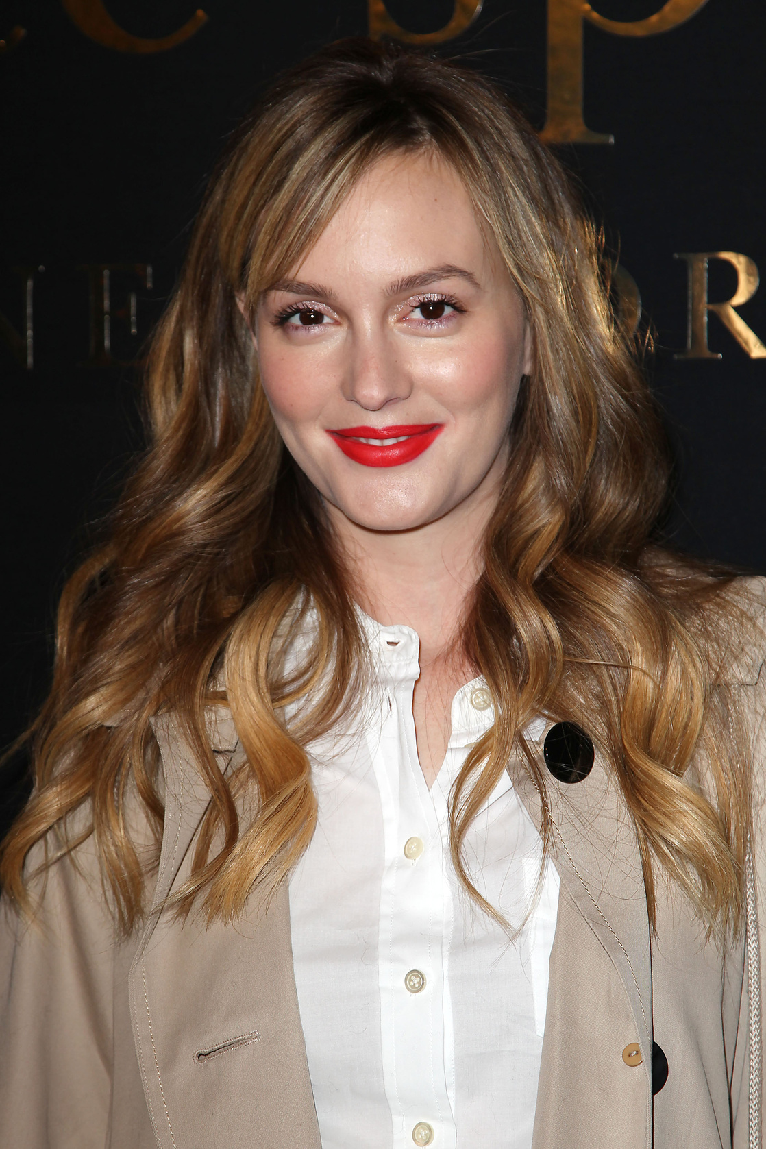 Leighton Meester image