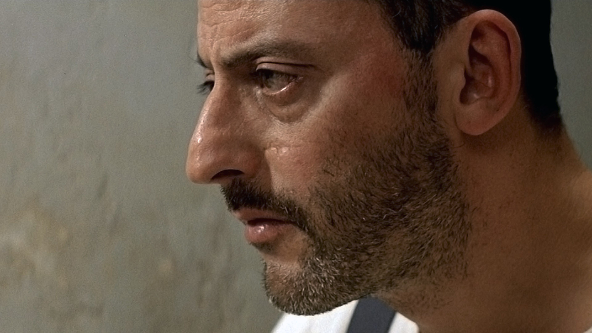 Picture of Léon: The Professional