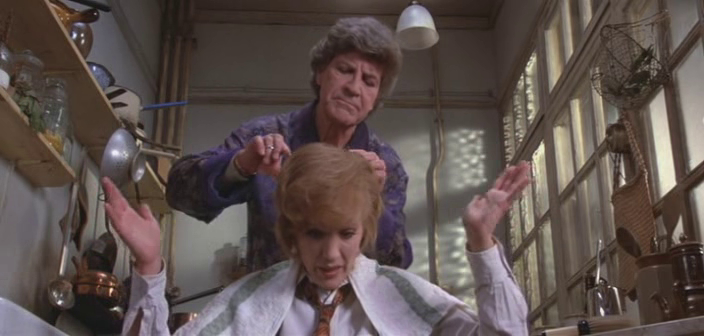 Picture of Victor/Victoria (1982)