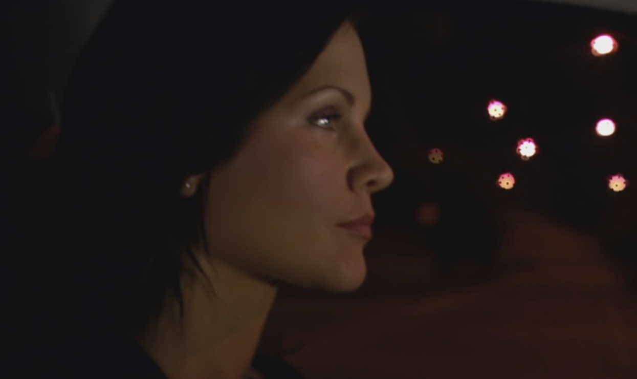 Picture of The Perfect Assistant