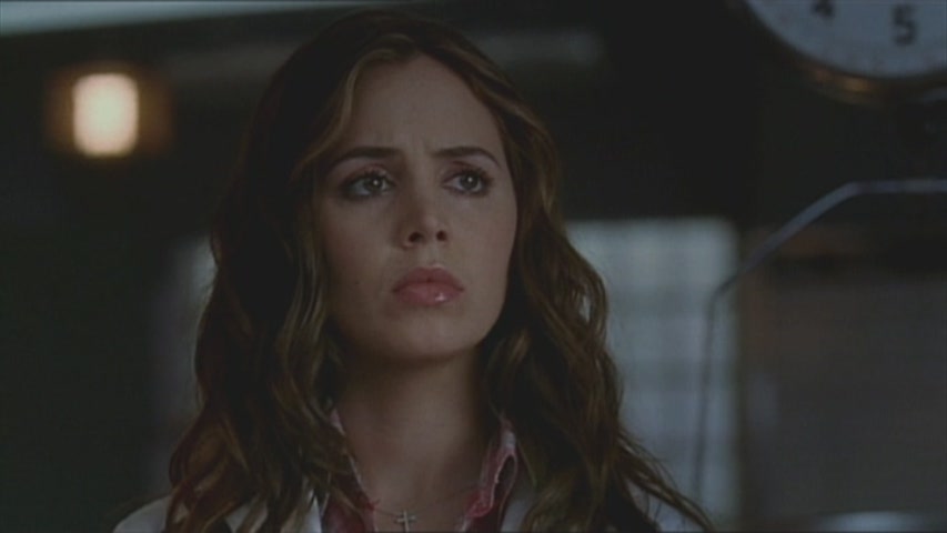 Eliza Dushku picture