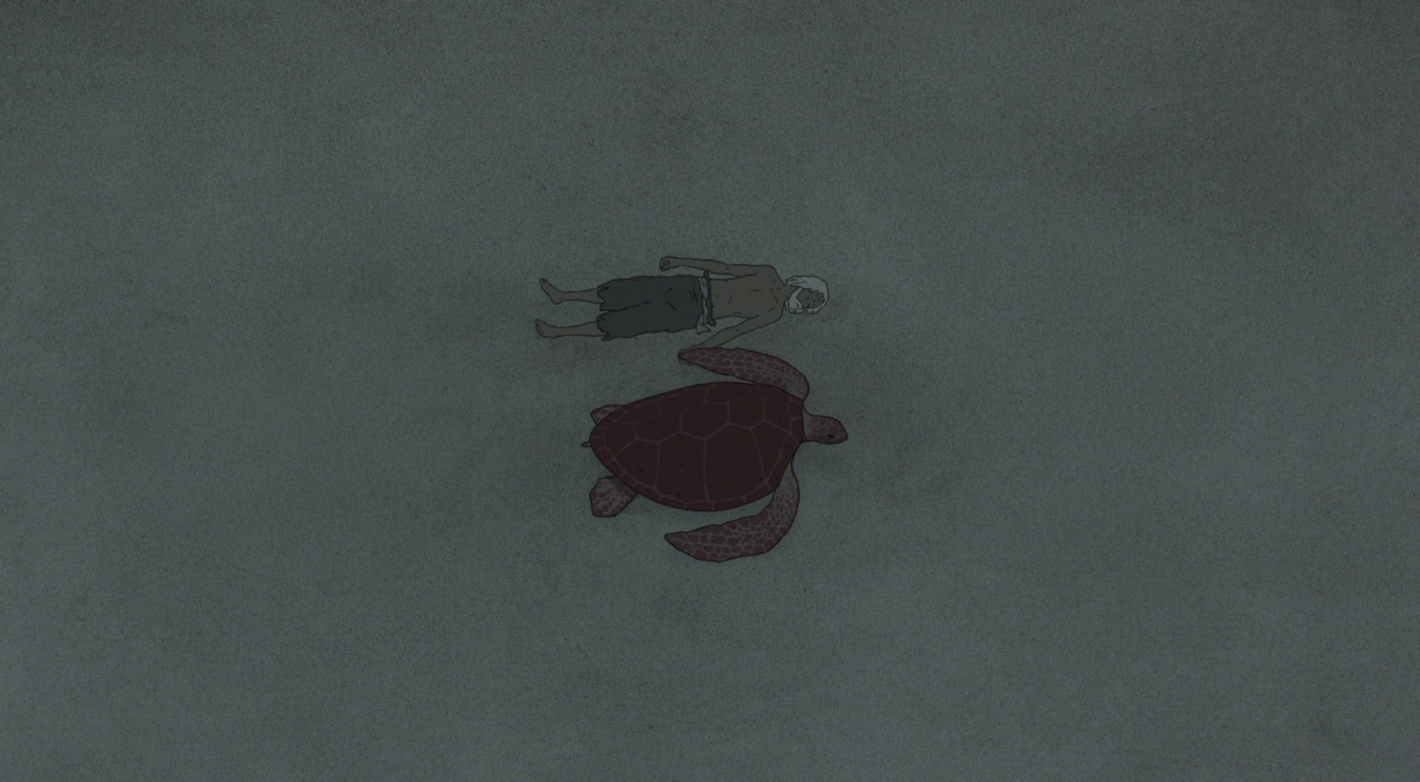 Picture of The Red Turtle