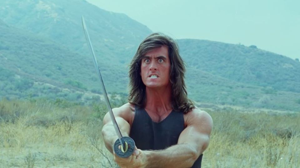 Picture of Samurai Cop