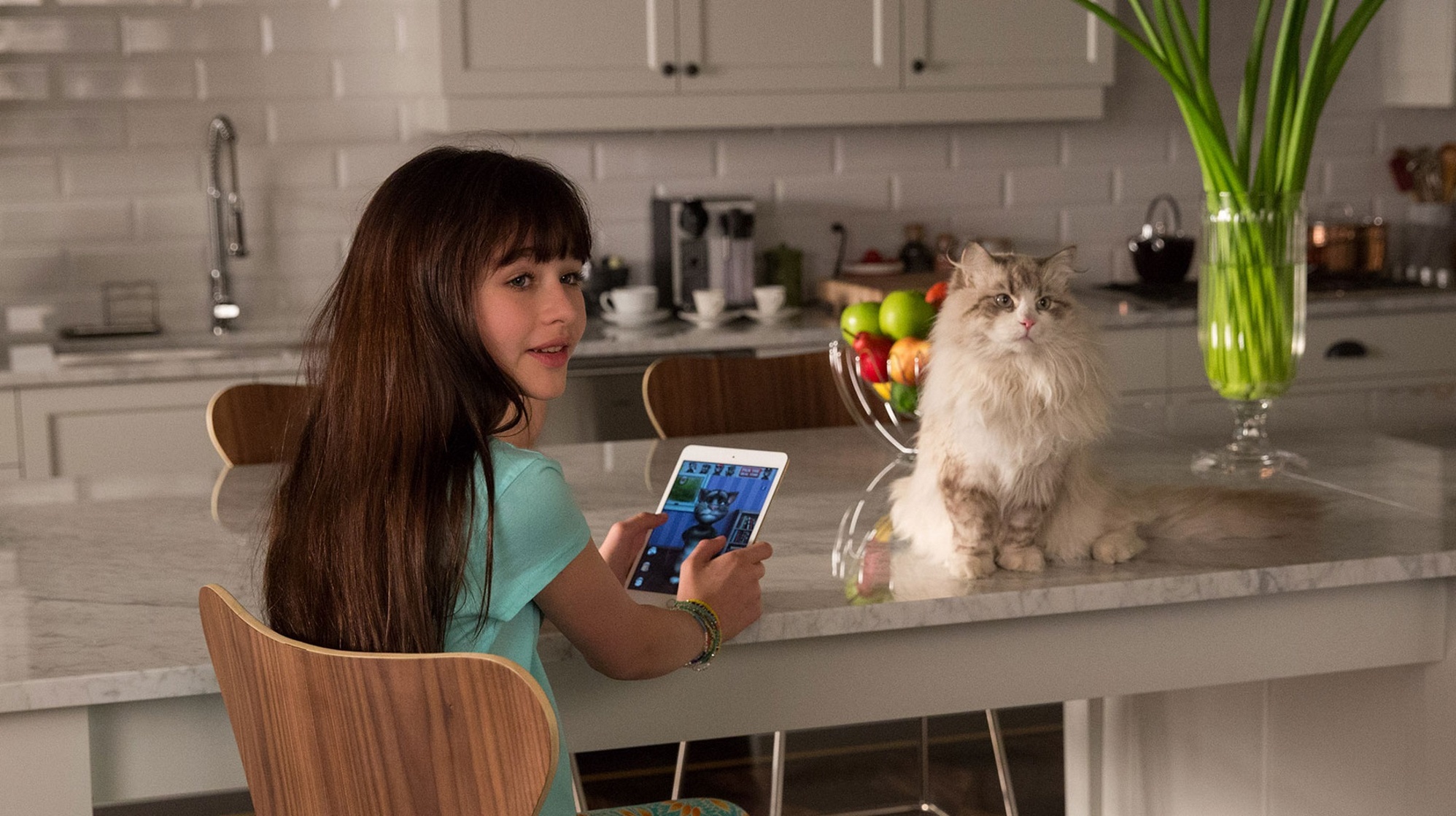 Picture of Nine Lives