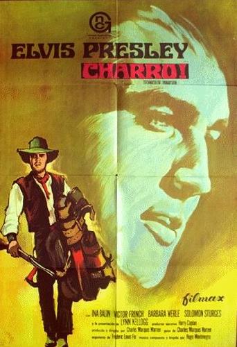 Picture of Charro!
