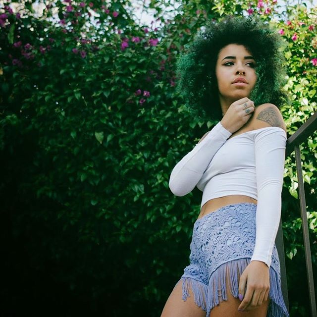 Picture of Lee Velvet