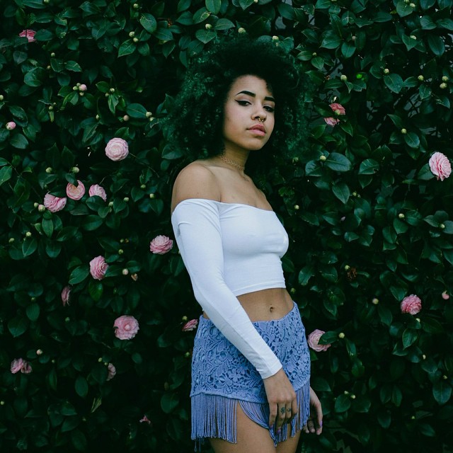 Picture of Lee Velvet