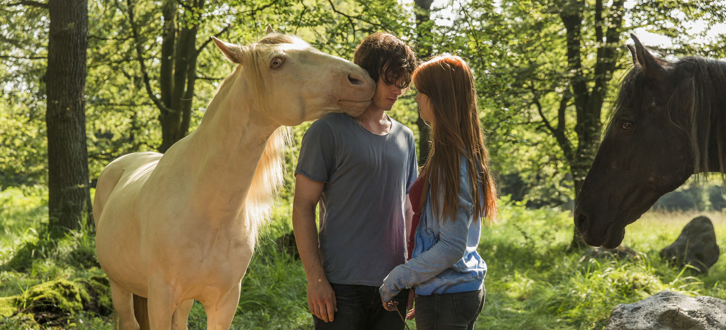 Picture of Ostwind 2