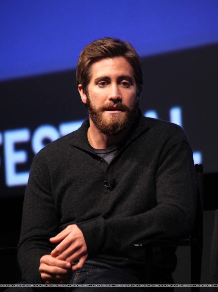 Picture of Jake Gyllenhaal