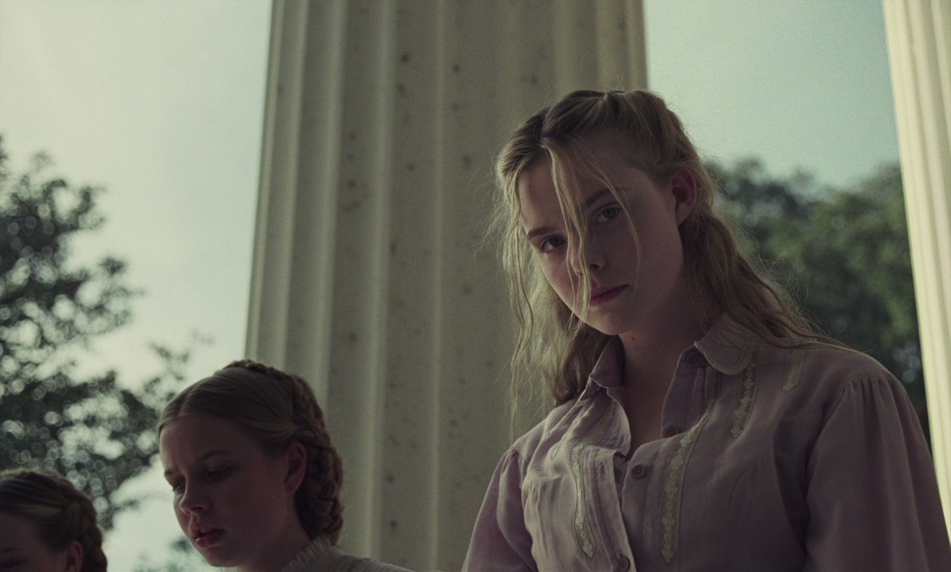 Picture of The Beguiled