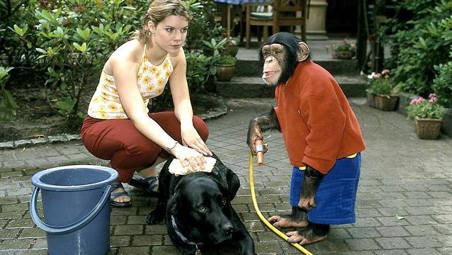 Picture of Unser Charly (1995- )