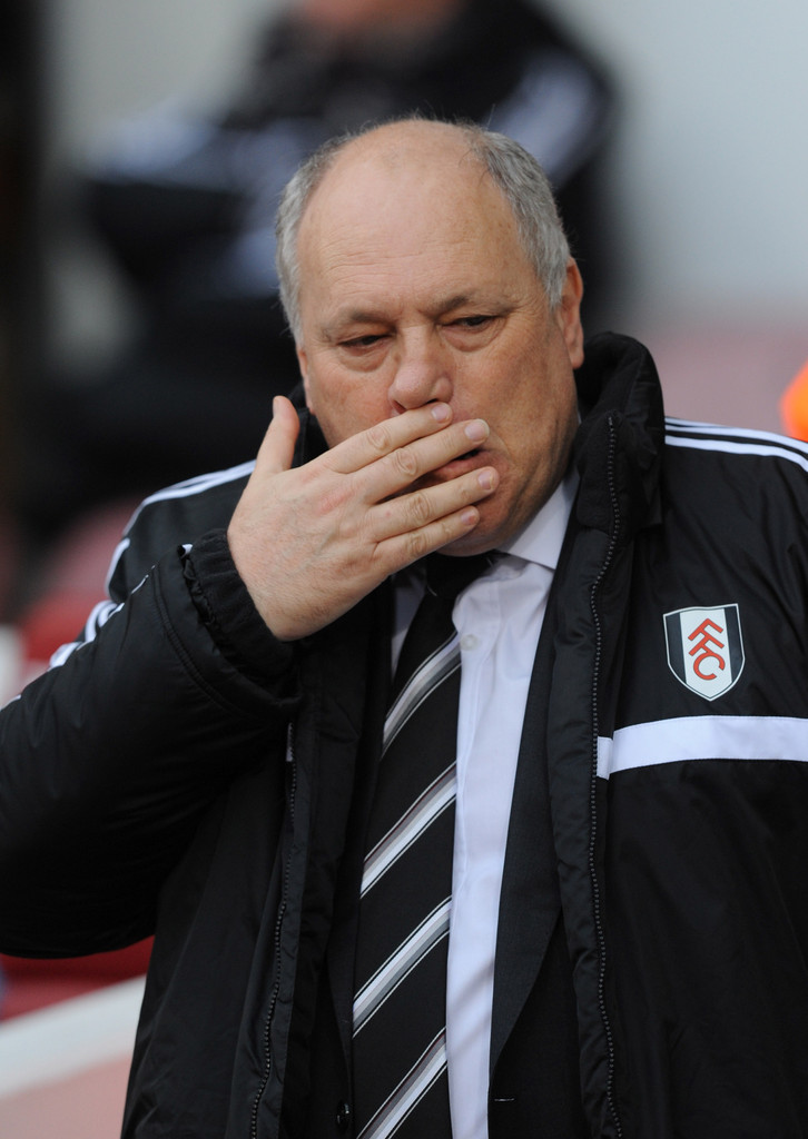 Picture of Martin Jol