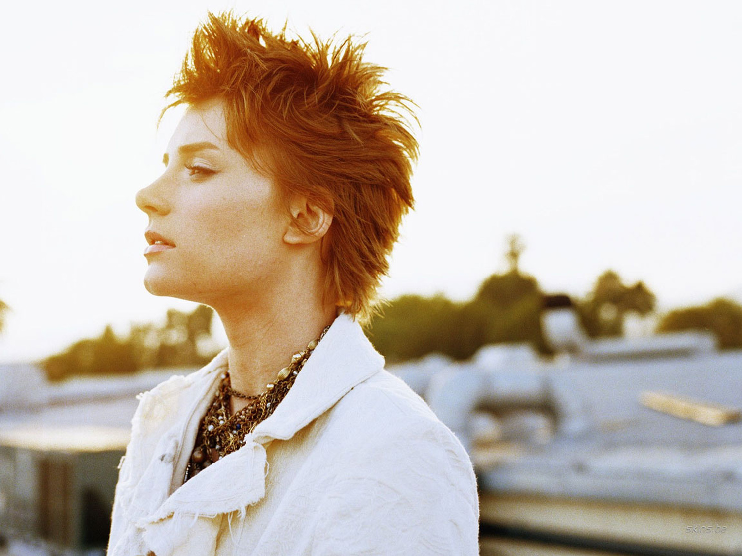 Picture of Bryce Dallas Howard