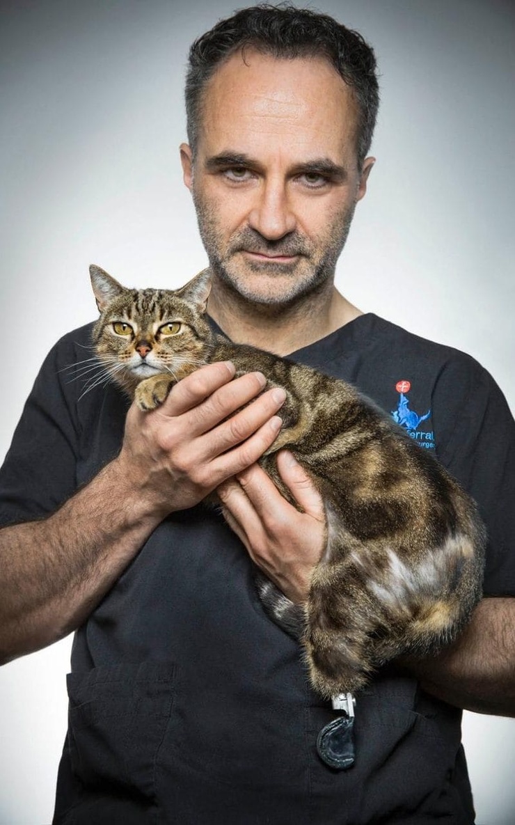 Picture of Noel Fitzpatrick