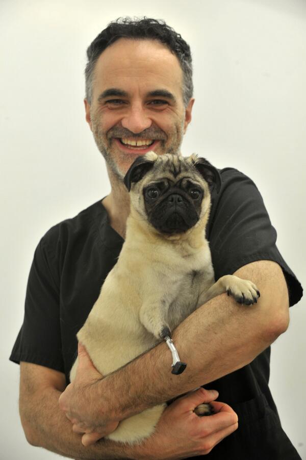 Picture of Noel Fitzpatrick