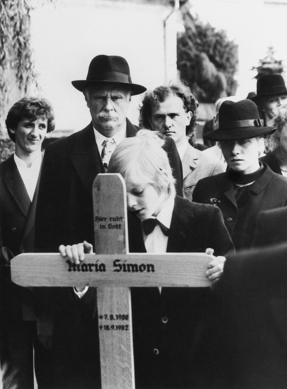 Picture of Heimat: A Chronicle of Germany