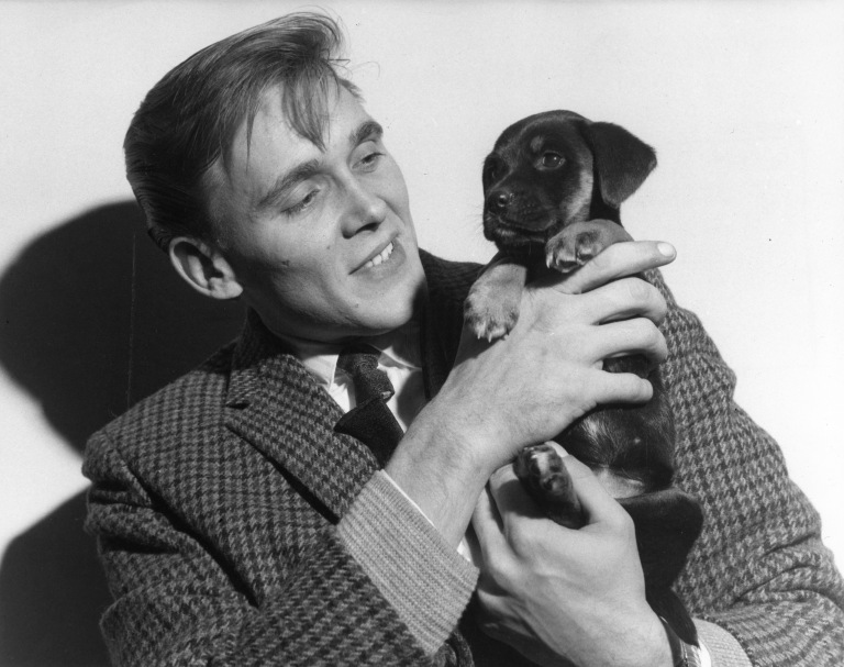 Picture of Billy Fury