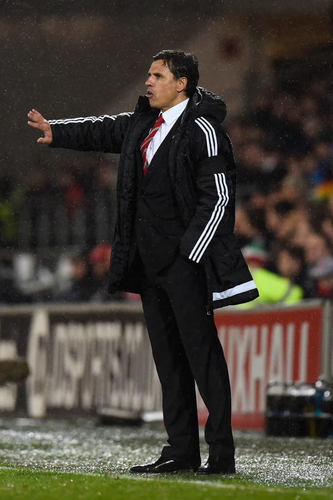 Chris Coleman picture