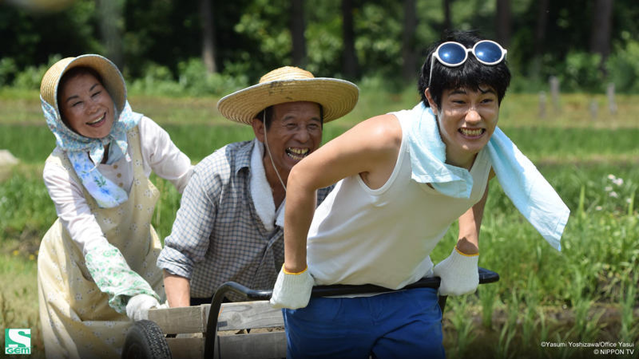 Picture of Dokonjô gaeru