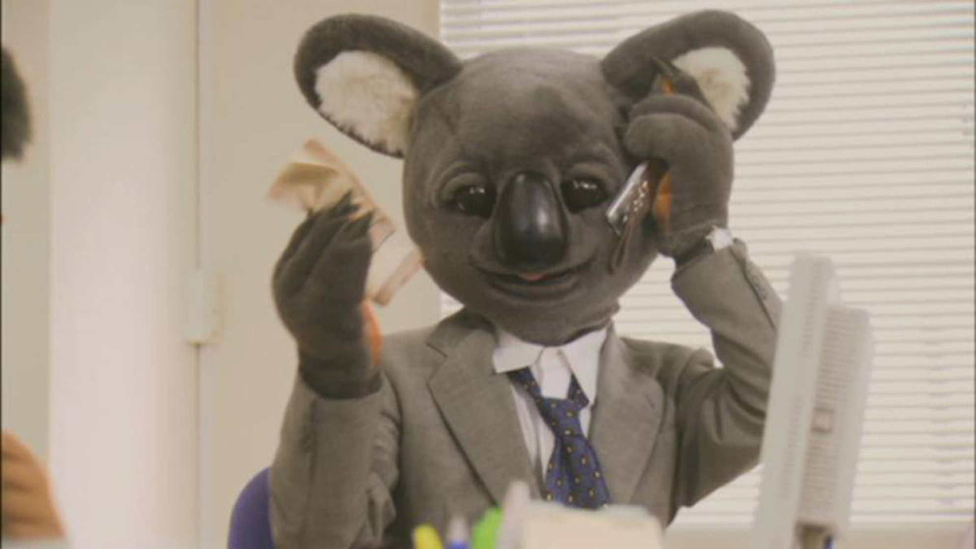 Picture of Executive Koala