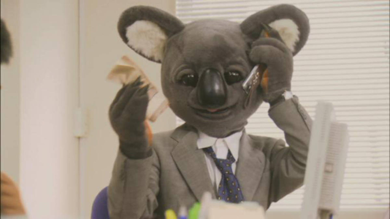 Picture of Executive Koala