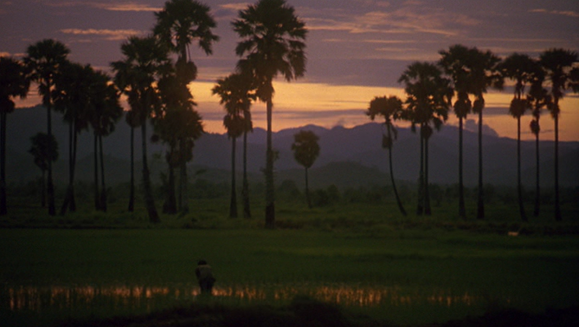 Image of The Killing Fields