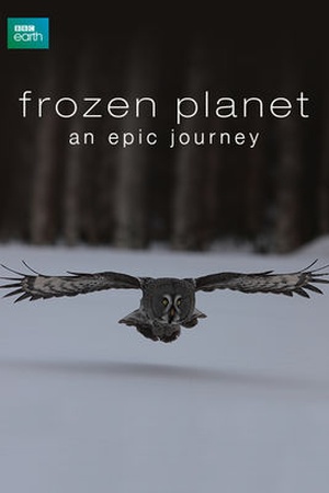 Picture of Frozen Planet: The Epic Journey (2011)
