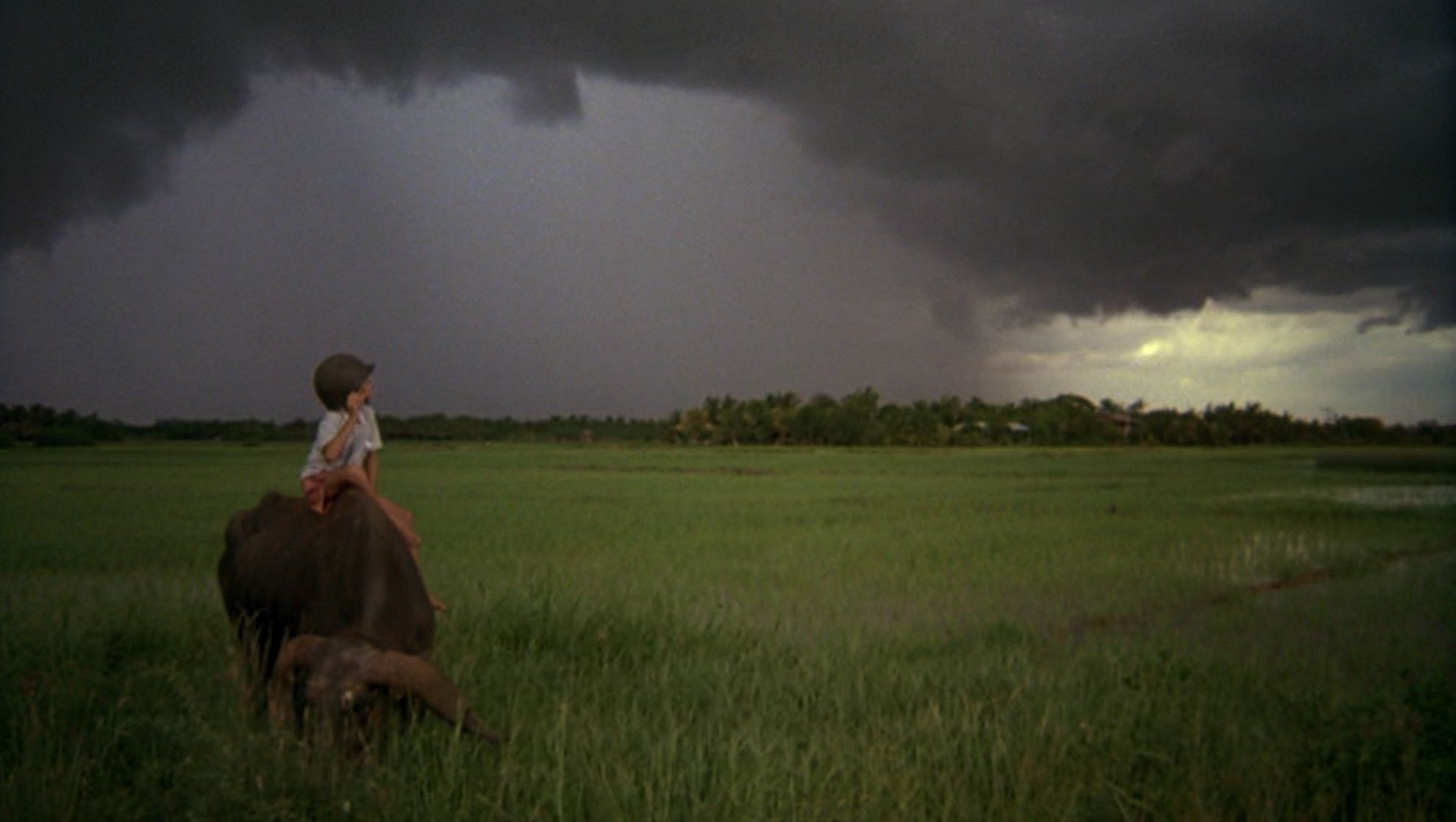 The Killing Fields (1984) picture