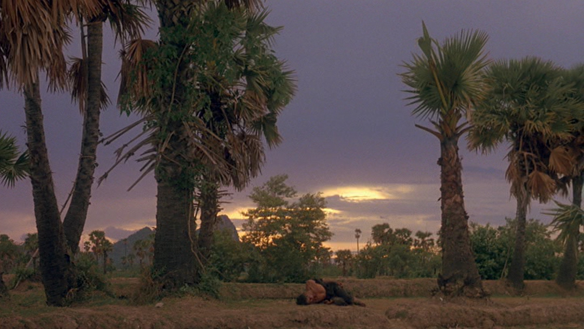 Picture of The Killing Fields (1984)