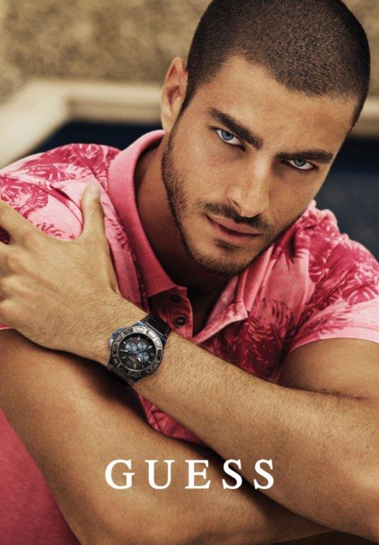 Picture of Gui Fedrizzi