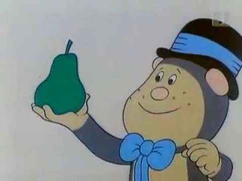 Picture of Bojan the Bear