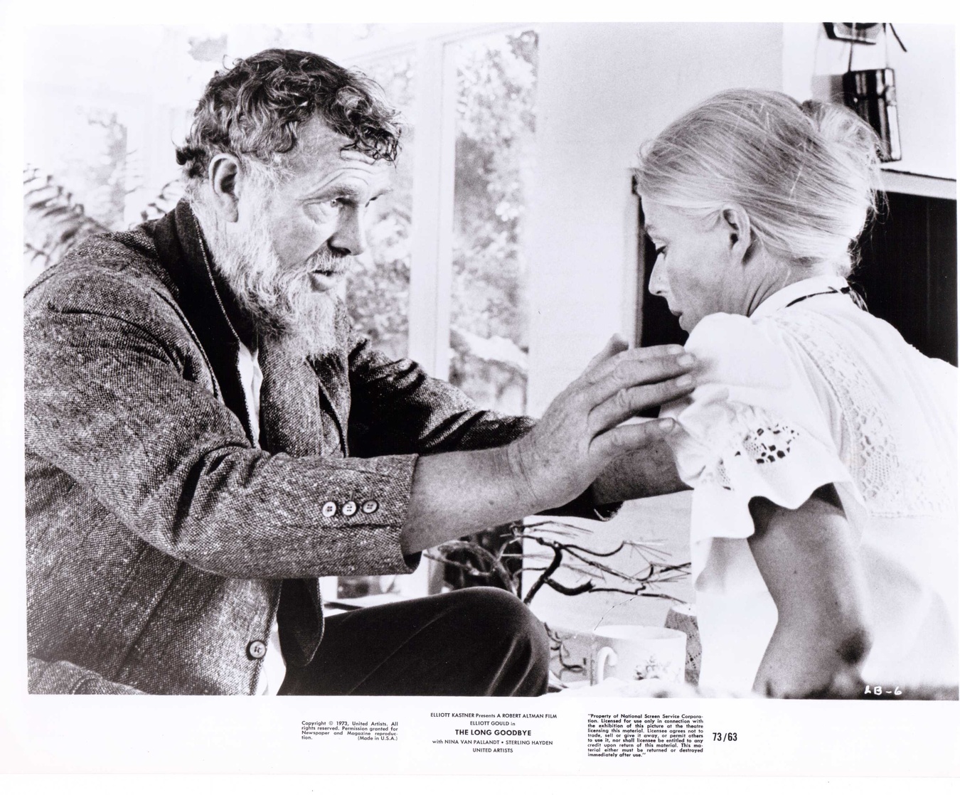 Picture of The Long Goodbye