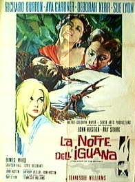 Picture of The Night of the Iguana