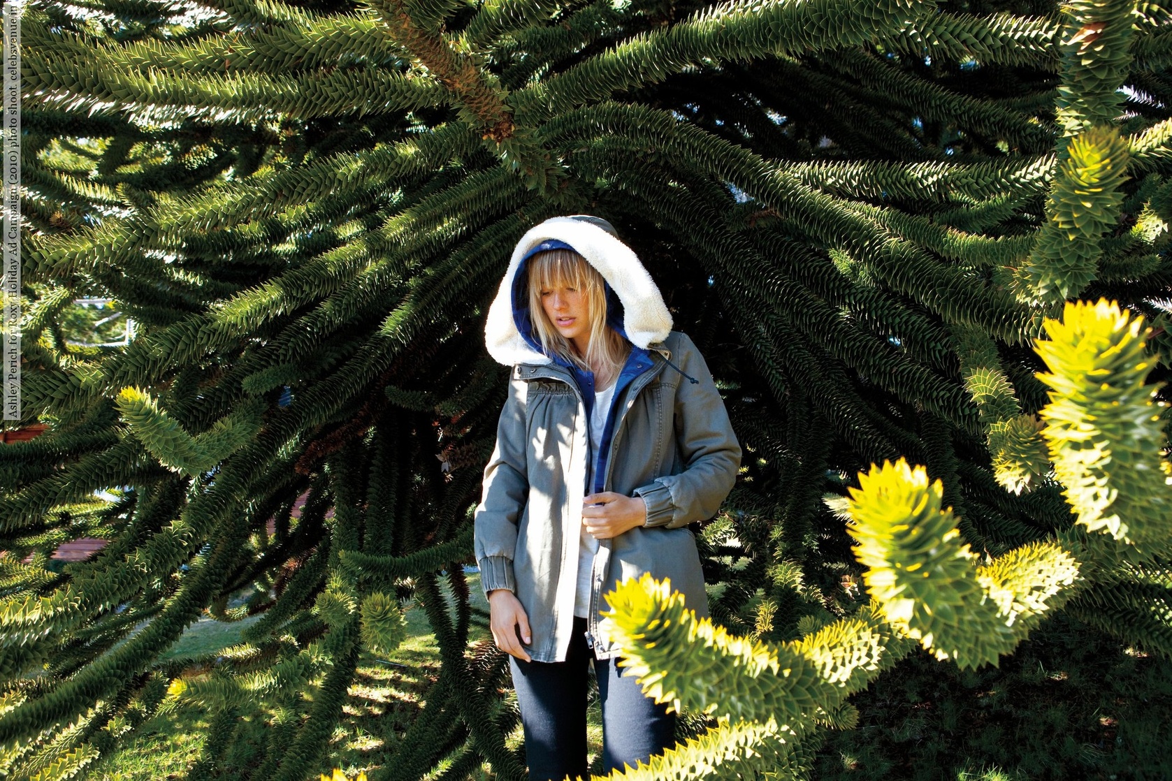 Picture of Ashley Perich