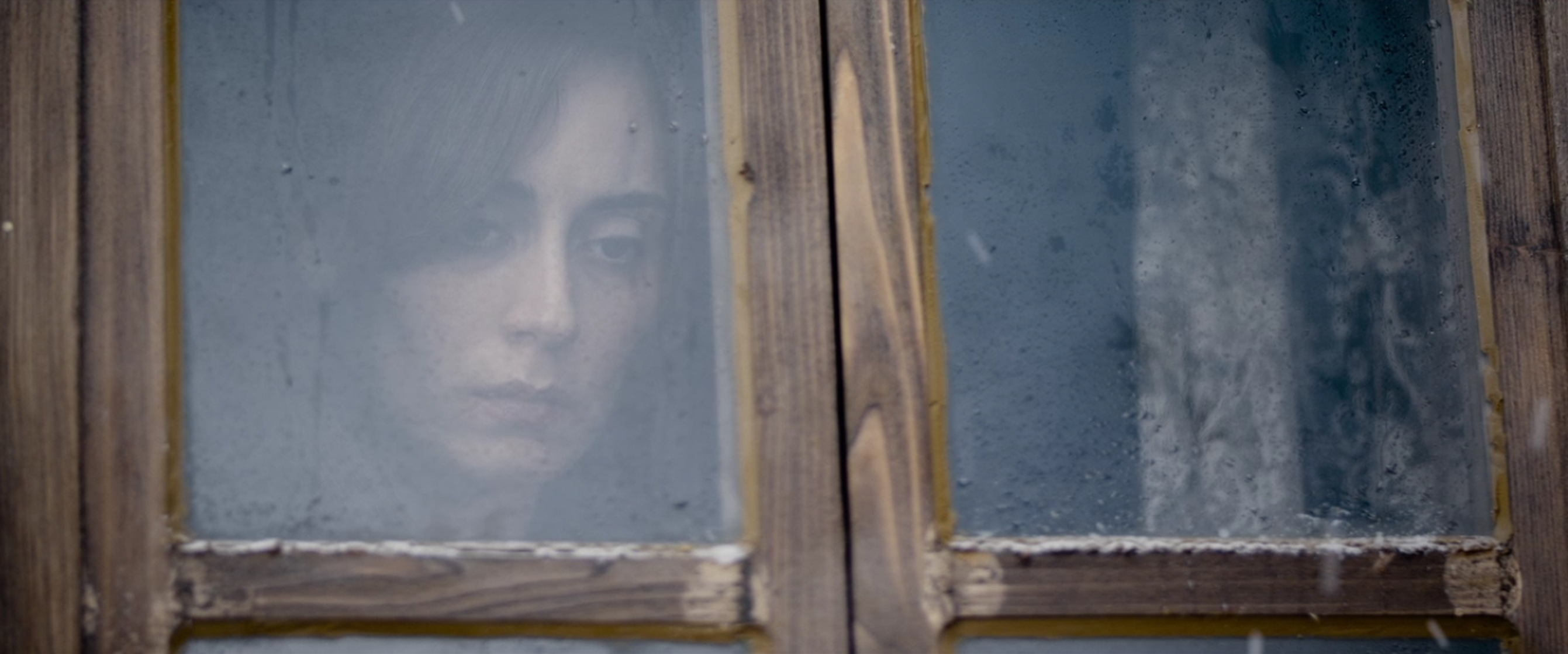 Winter Sleep (2014) picture