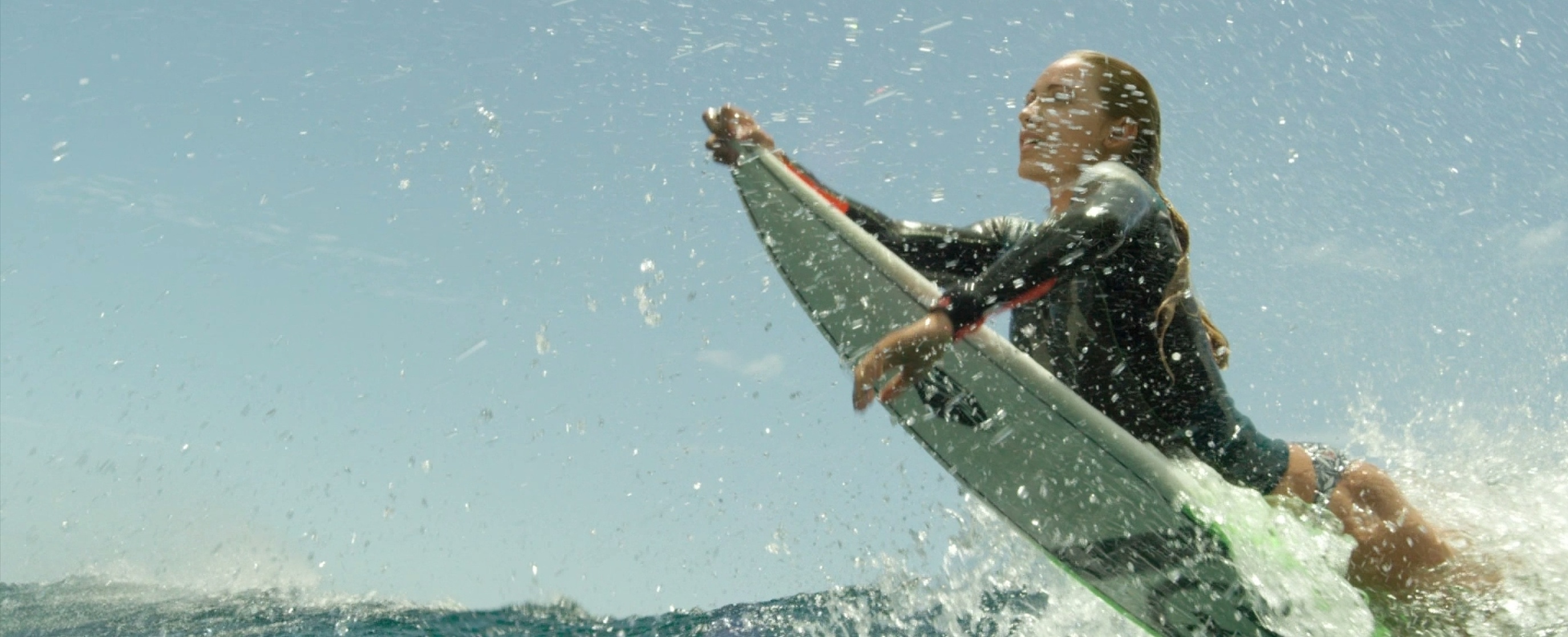 Picture of The Shallows