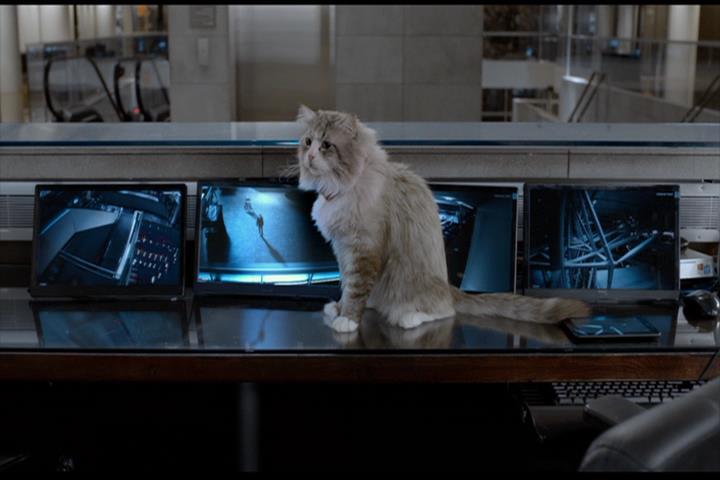 Picture of Nine Lives