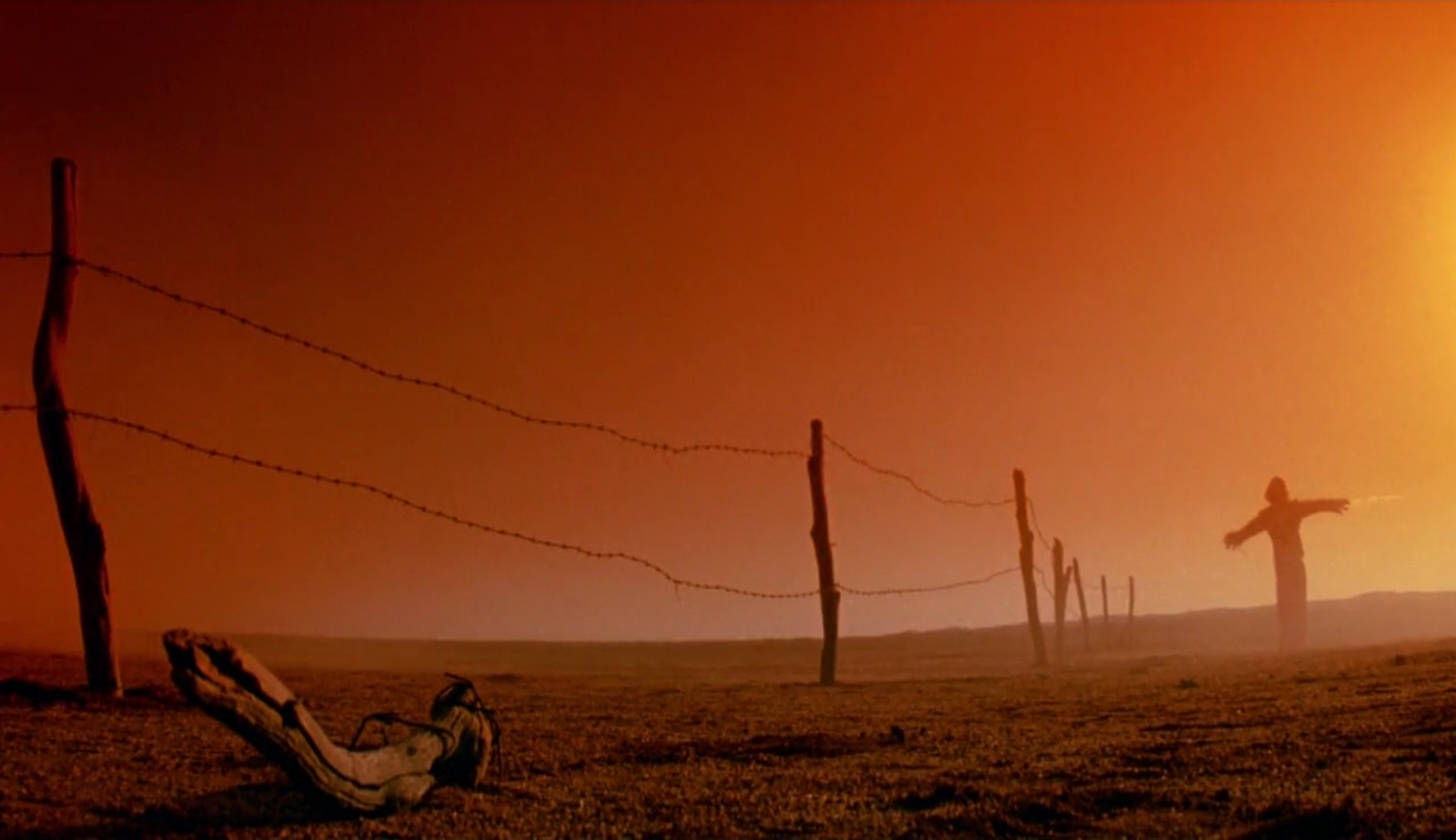 Picture of Razorback