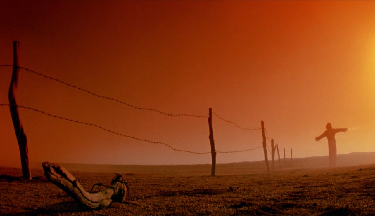 Picture of Razorback