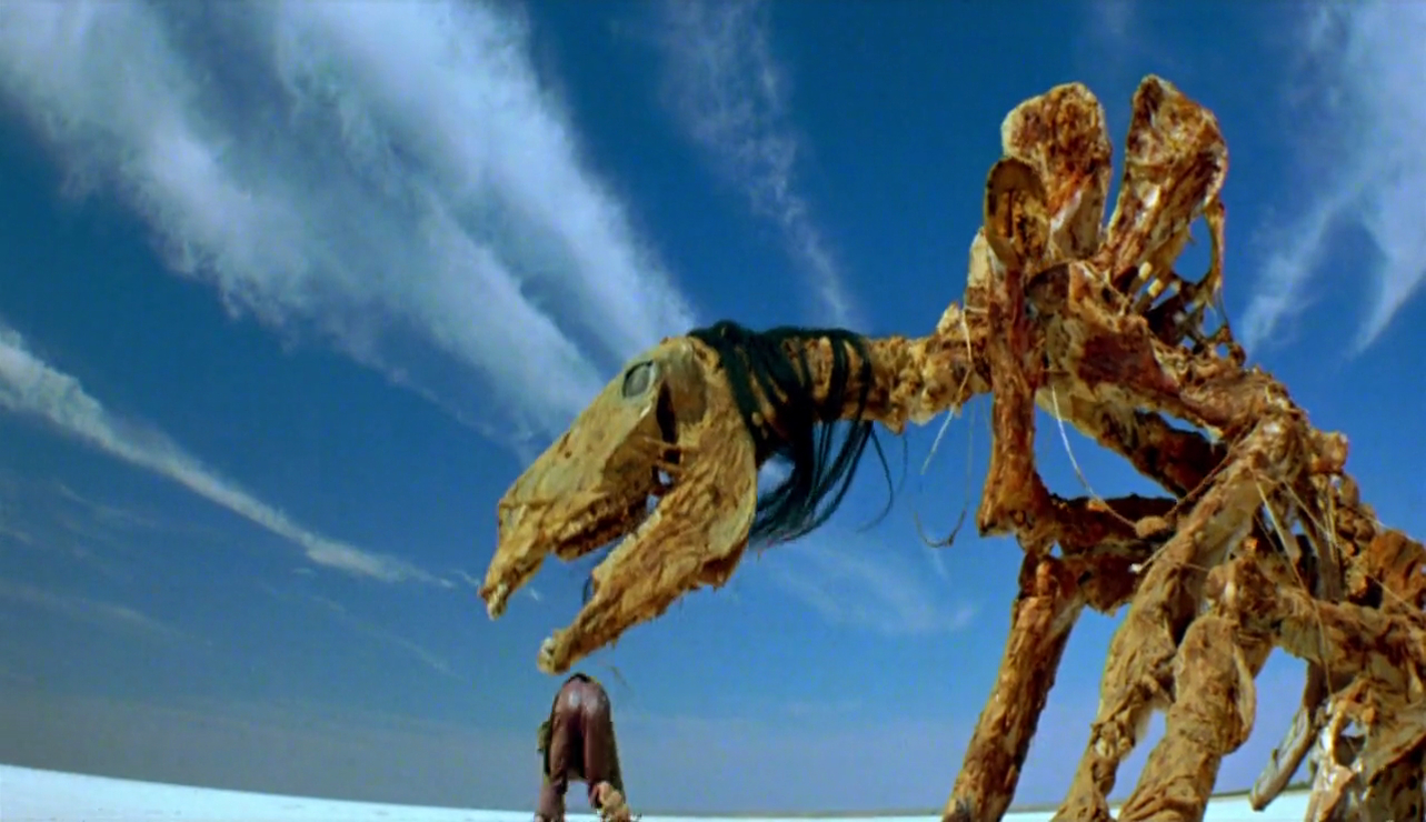 Picture of Razorback