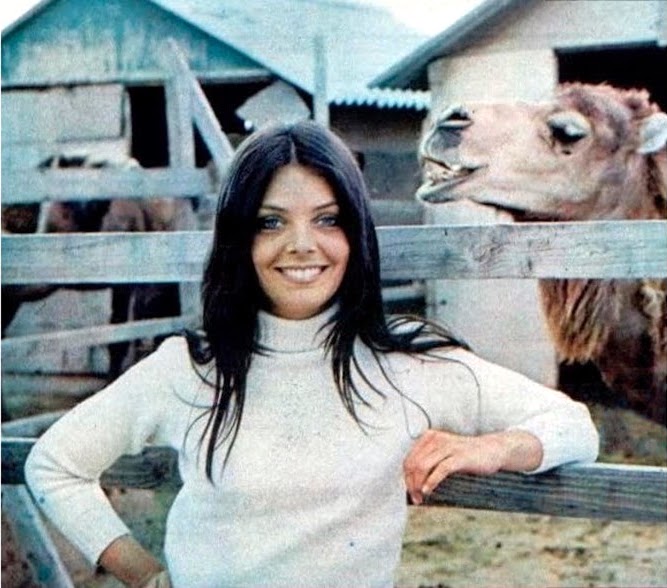 Patty Shepard picture