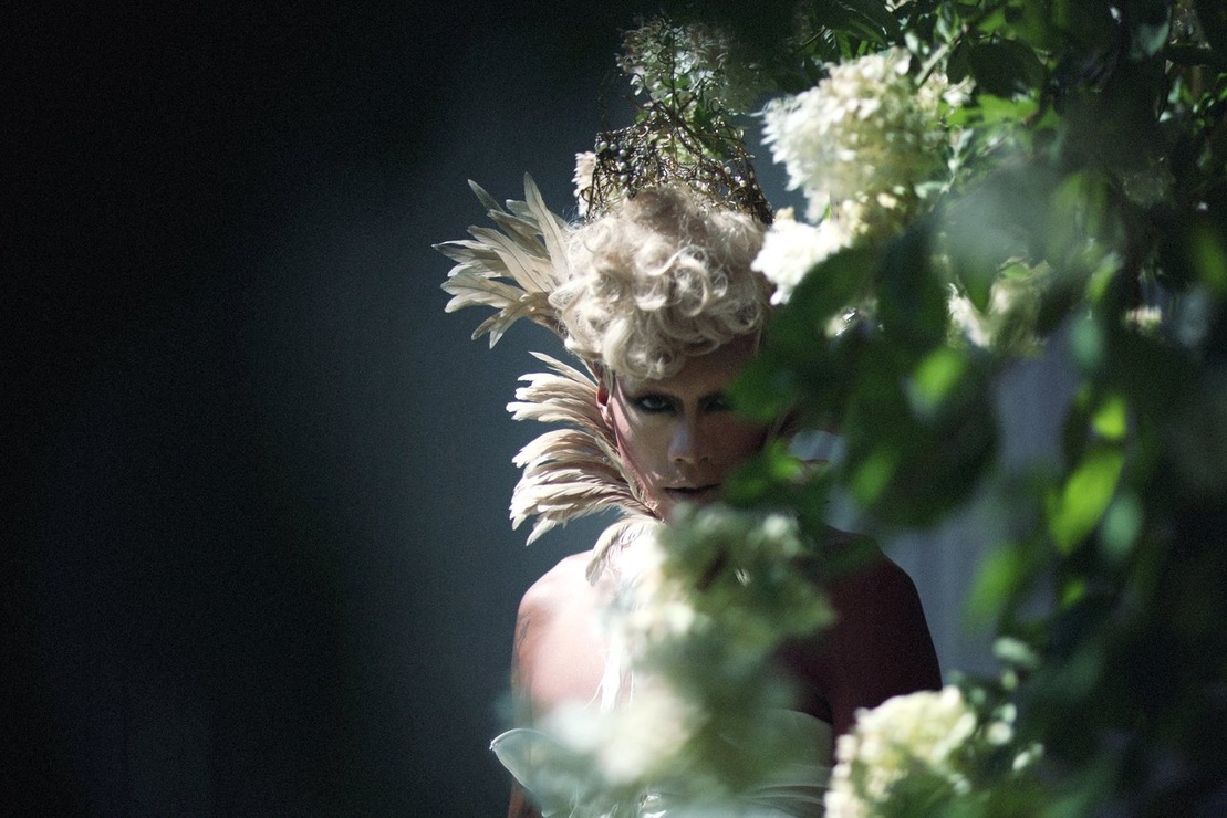 Sutan Amrull image