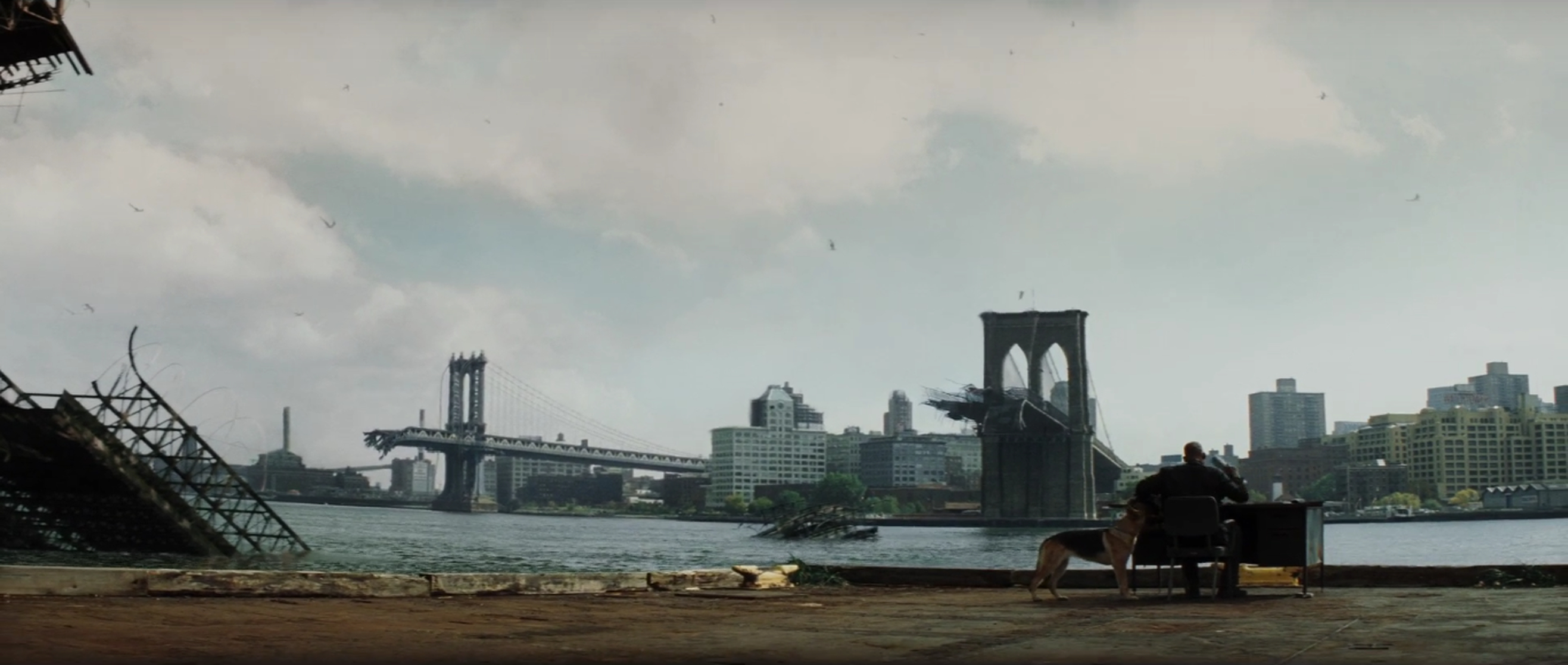 Picture of I Am Legend