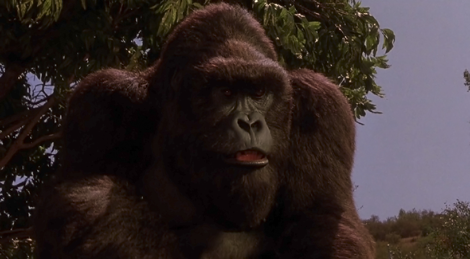 Mighty Joe Young image