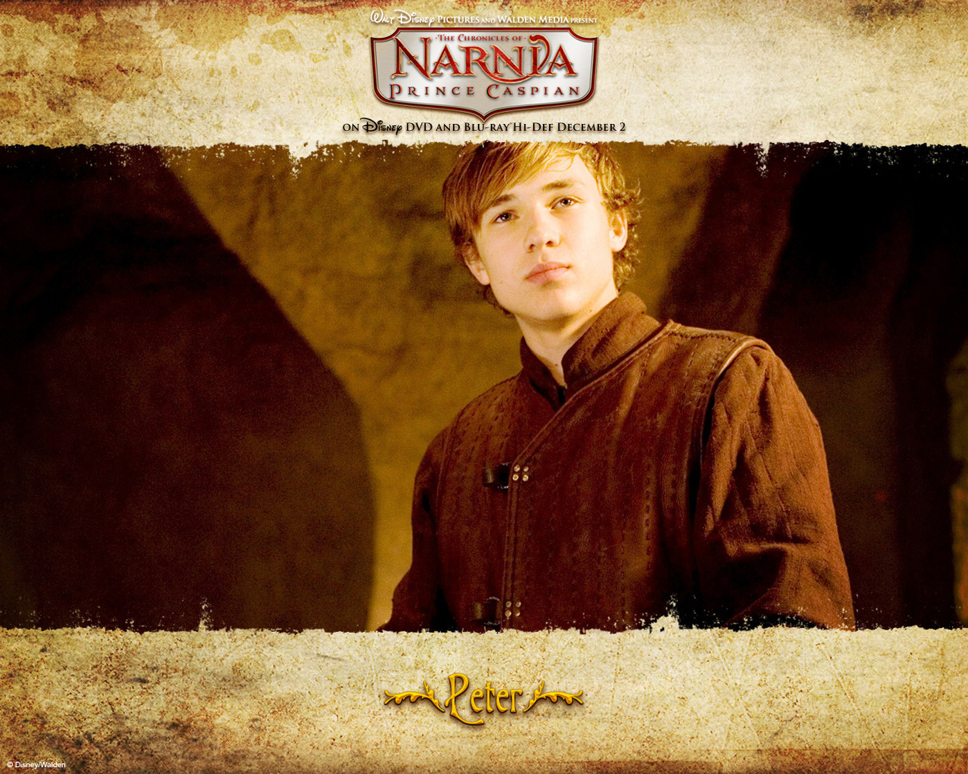 Picture of Peter Pevensie
