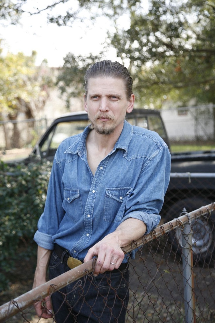 Picture of Like Dandelion Dust